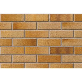 Tradesman Buff Multi