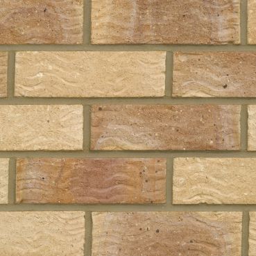 Old English Buff Multi