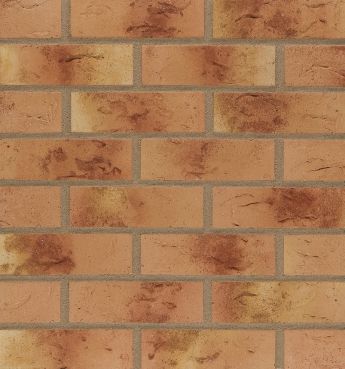 Windmill Golden Multi