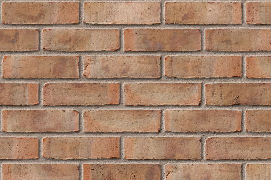 Birtley Olde English Buff