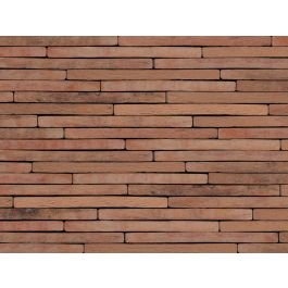 San Anselmo Corso Selmo ISC Red