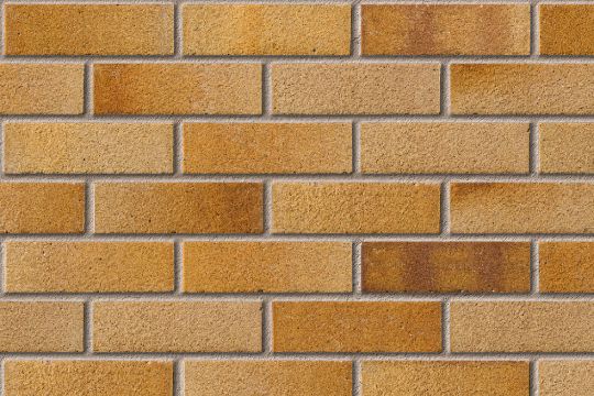 Tradesman Buff Multi